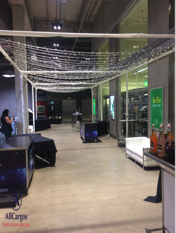 Light Frame with Twinkle Lights on the Top - AER Tent & Event Rentals Inc